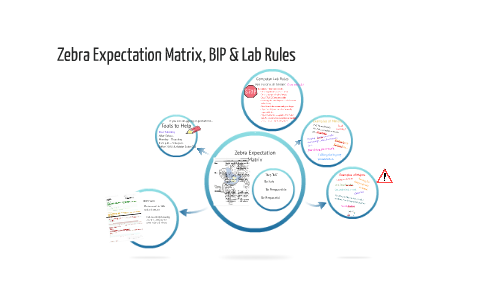 Zebra Expectation Matrix & BIP by Debbie Tofft