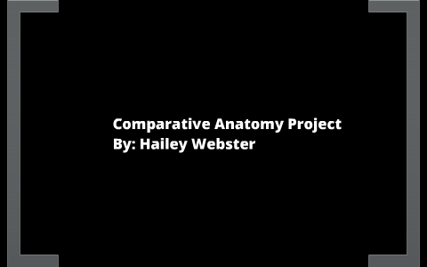 comparative anatomy project by hailey webster on Prezi
