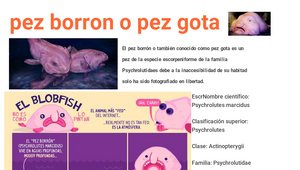 pez borrón o pez gota by José Iñaki Pérez Bautista on Prezi Design