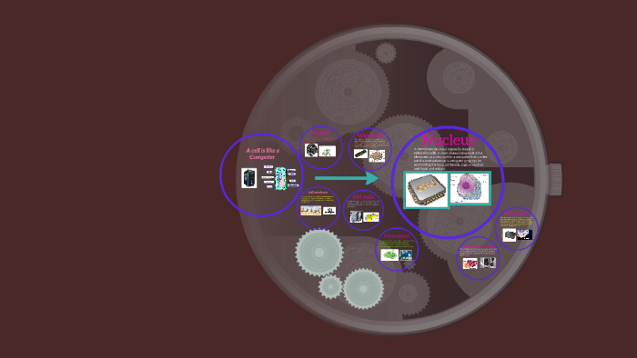A cell is like a Computer by Noah Perrodin