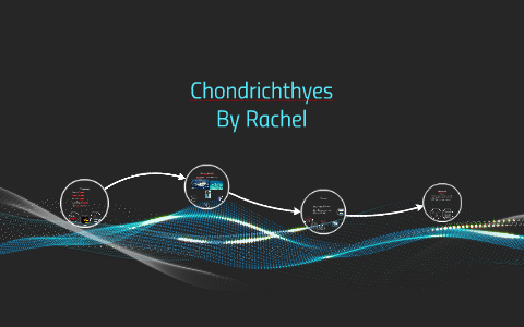 Chondrichthyes by Rachel Pimentel on Prezi
