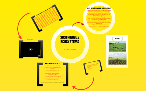 Grade 9 Sustainable Ecosystems Project by Jacob Wright on Prezi