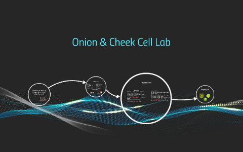 Onion and Cheek Cell Lab - Microbiology by Lillian C. on Prezi