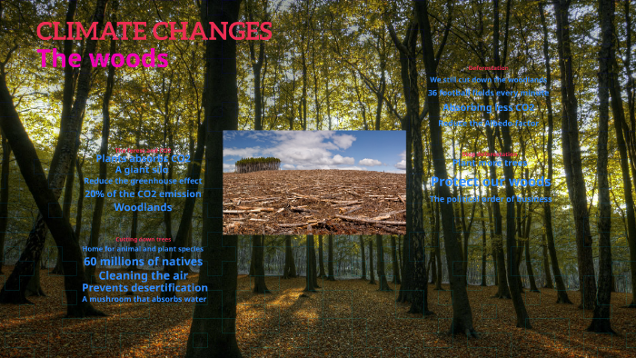 CLIMATE CHANGES by on Prezi