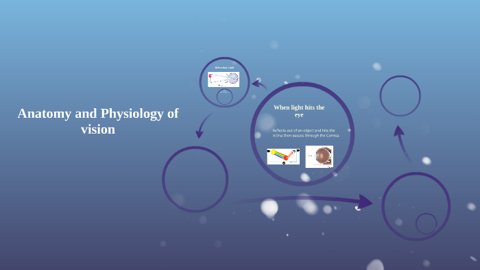 Anatomy and Physiology of vision by Daniel Vargas on Prezi