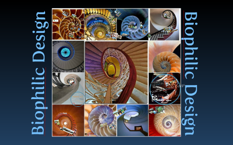 Biophilic Design by Clayton Bartczak on Prezi
