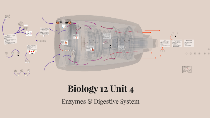 Biology 12 Unit 4 by D Martel on Prezi