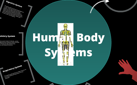 AP Biology Human Body Systems Project Part 1 by Laura Ying on Prezi