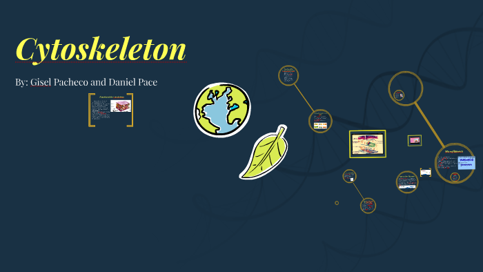 CYTOSKELETON by gisel pacheco on Prezi