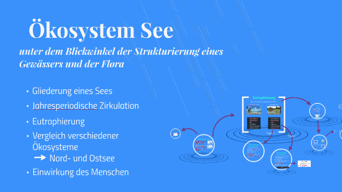 Ökosystem See by Nina Ohlen on Prezi