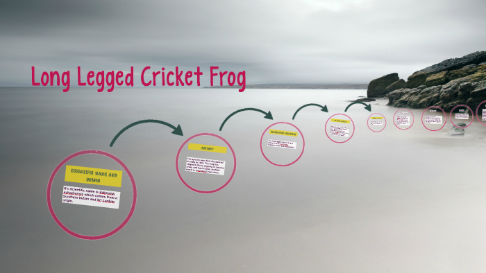 Scientific Name and origin by Cole McCreary on Prezi