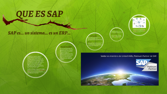 QUE ES SAP by german martinez on Prezi