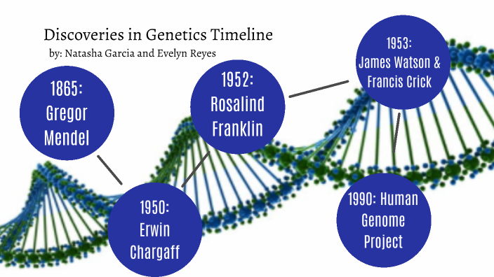 Discoveries in Genetics Timeline by natasha garcia on Prezi