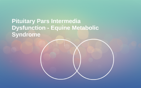 Pituitary Pars Intermedia Dysfunction - Equine Metabolic Syn by Edouard ...