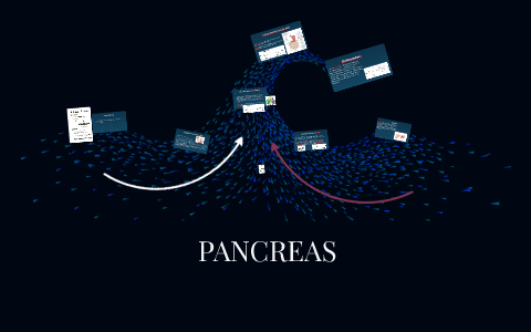 PANCREAS by Angela Powder on Prezi
