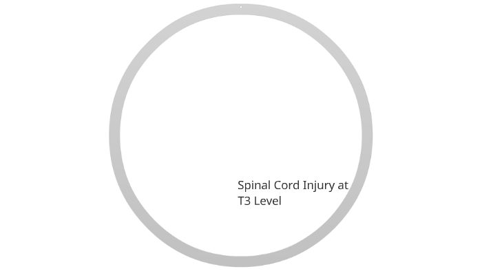 Spinal Cord Injury at T3 Level by Taylor Hamrick on Prezi