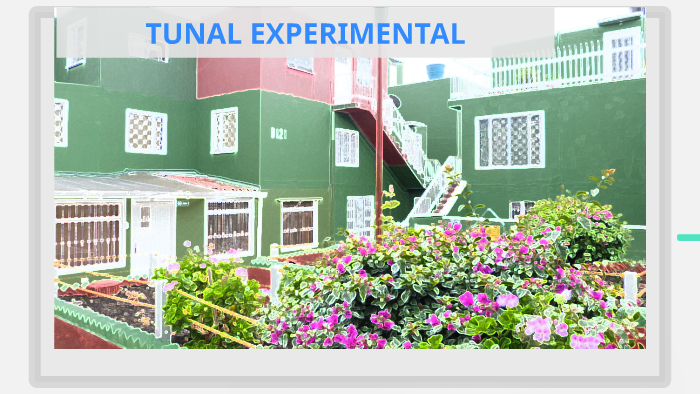 PROYECTO DE VIVIENDA TUNAL EXPERIMENTAL by jonathan ulloa on Prezi