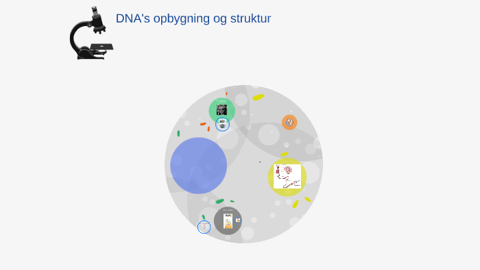DNA's struktur og opbygning by Sofie Grønning on Prezi