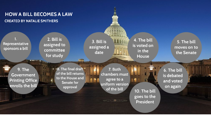 How a bill becomes a law by Natalie Smithers on Prezi