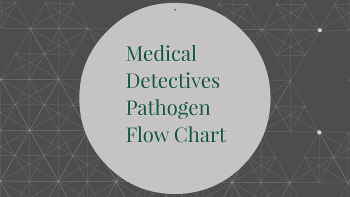Medical Detectives Pathogen Flow Chart by Max Luna on Prezi