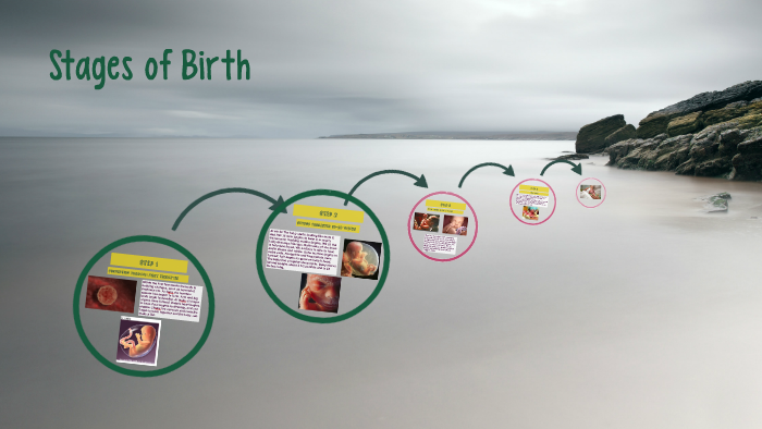 Stages of Birth by David Diaz on Prezi