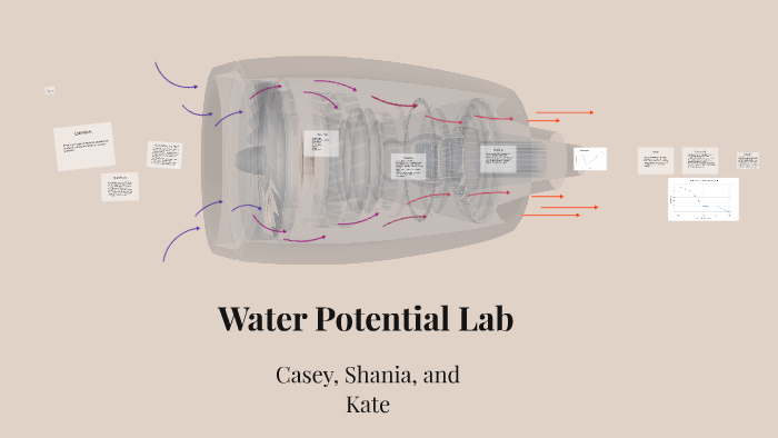 Water Potential Lab by Kate Flowers on Prezi