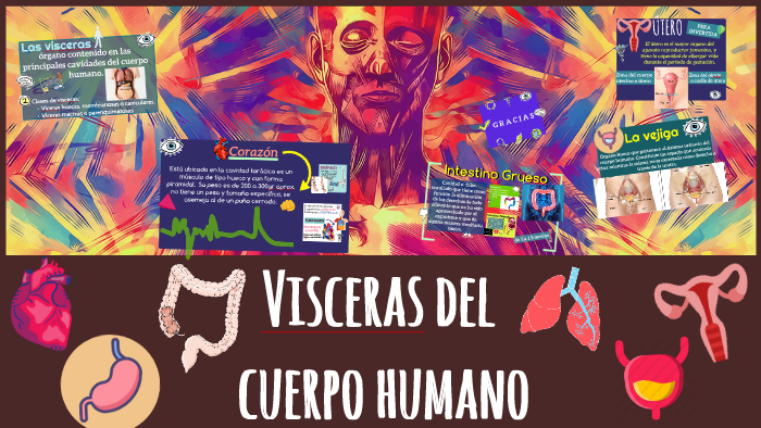 Visceras del cuerpo humano by darianna manzo villanueva on Prezi