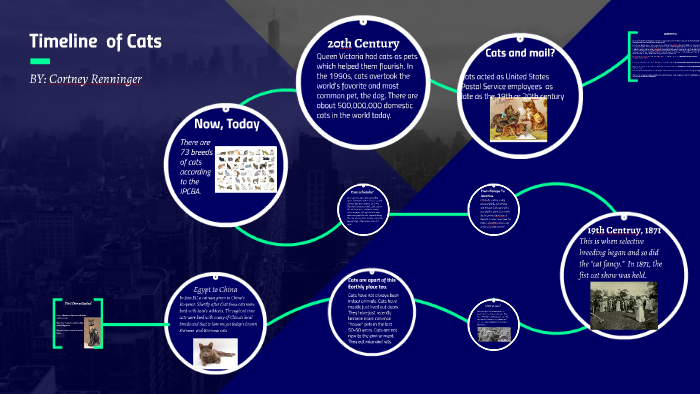 Timeline of Cats by cortney renninger on Prezi