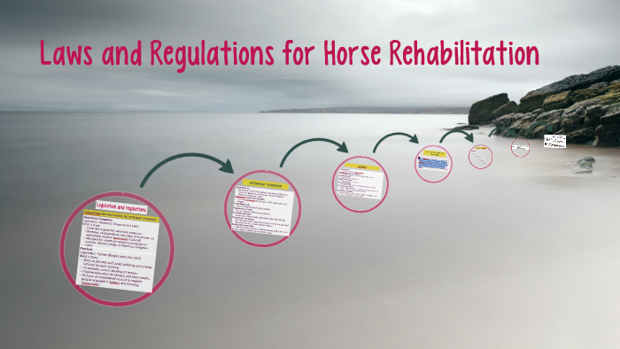 Laws and Regulations for Horse Rehabilitation by Isobel Riley on Prezi
