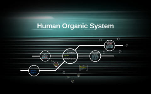 Human Organic System by Yailin M. on Prezi