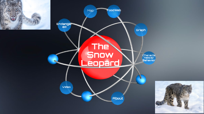 Snow Leopard Graph