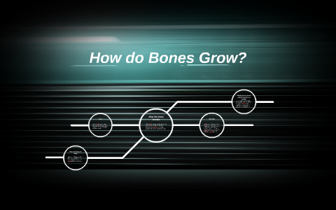 How do Bones Grow by Meghan Tierney on Prezi