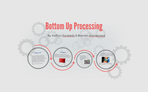 Bottom Up Processing by Brandon Karmelowicz on Prezi