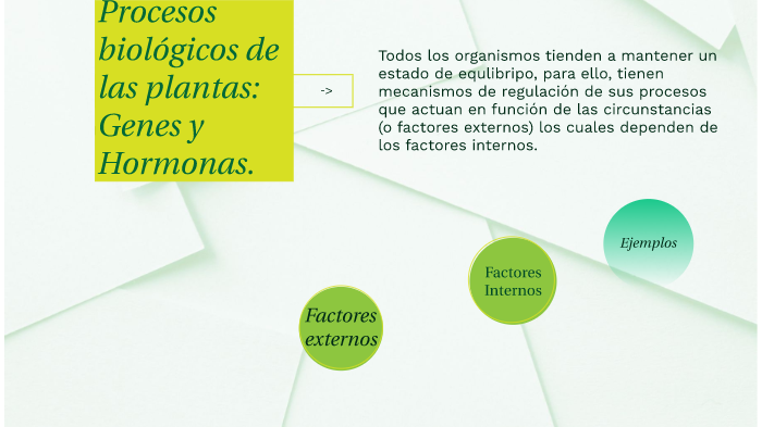 Procesos biológicos de las plantas. by Hálka . on Prezi