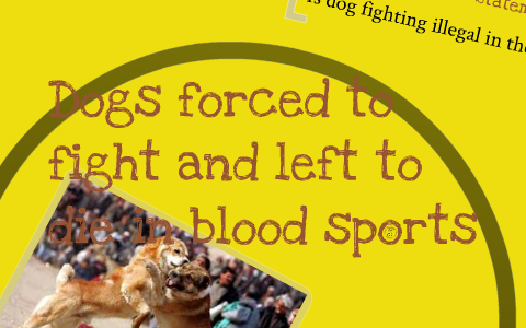 Dog Fighting Presentation by Jacyn Fernandez on Prezi