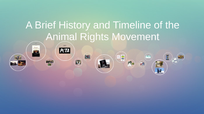 A Brief History and Timeline of the Animal Rights Movement by Kellyn ...