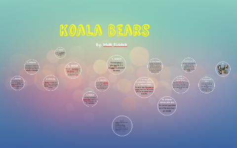Evolution by Natural Selection: Koala Bear by Molli Riddick on Prezi