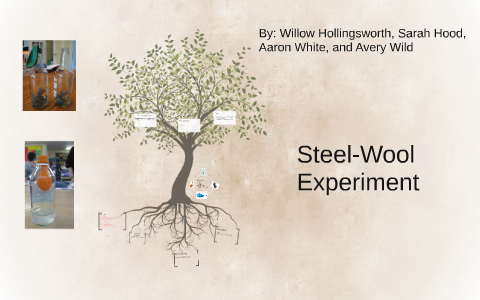 Steel-Wool Experiment by Willow Hollingsworth on Prezi