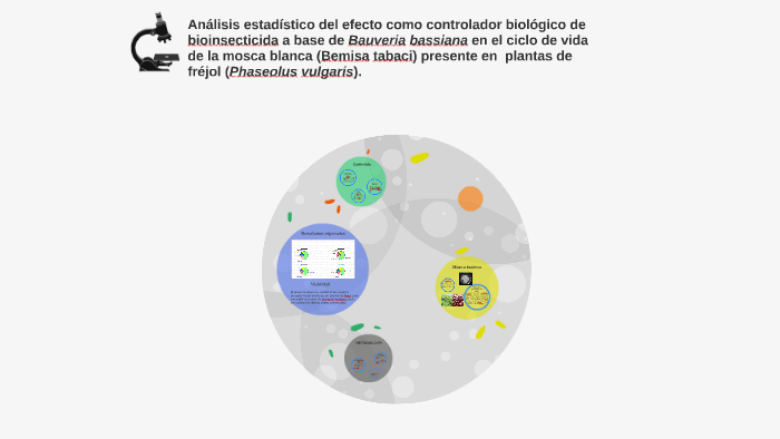 Análisis estadístico del efecto como controlador biológico d by Mayito Ruiz