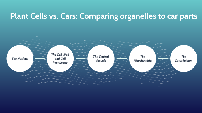 Cell Simile Project by Samantha Randall on Prezi