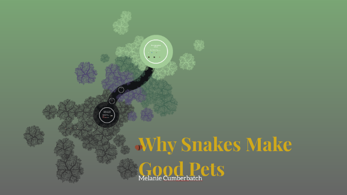 Why Snakes Make Good Pets by Melanie Cumberbatch on Prezi