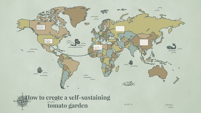 How to create a self-sastaning tomato garden by Jonathan Stansberry on ...