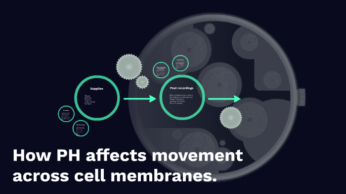 How PH affects movement across cell membranes. by Ethan Hunt on Prezi