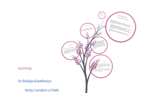 Asthma Psychosomatic Models by Reiny Leenders on Prezi