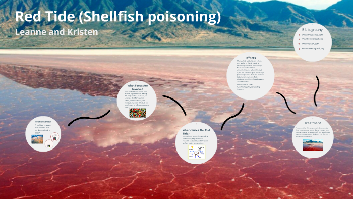 Red Tide (Shellfish poisoning) by Kristen C on Prezi