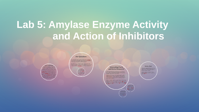 Lab 5: Amylase Enzyme Activity by Melinda Chisholm on Prezi