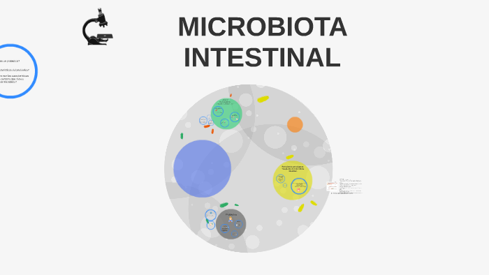MICROBIOTA INTESTINAL by diana chichia on Prezi