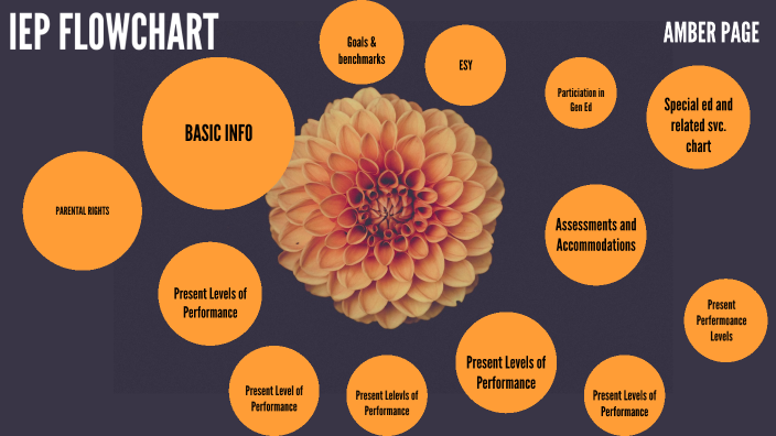 IEP FLOWCHART by amber page on Prezi