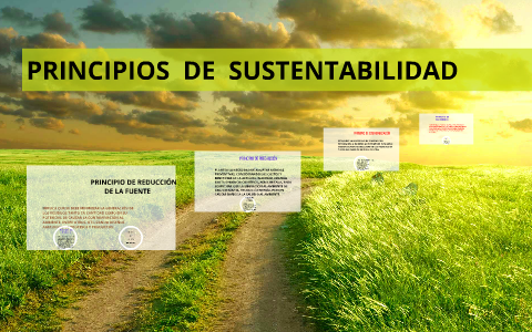 PRINCIPIOS DE SUSTENTABILIDAD by rodolfo sesma on Prezi