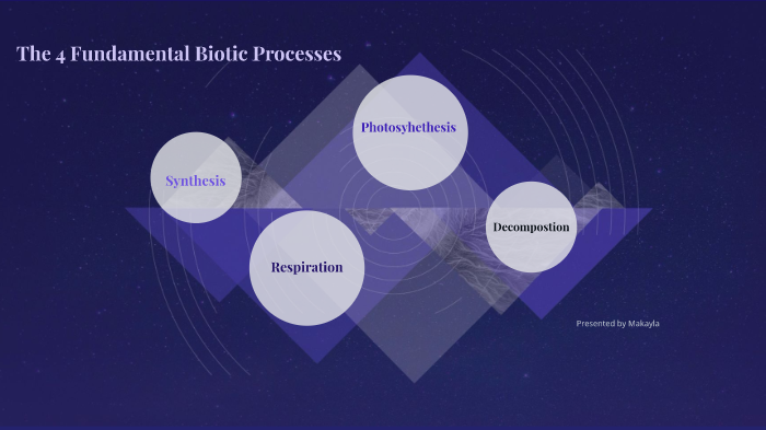 4 Fundamentals of Biotic Processes by Makayla Meicher on Prezi